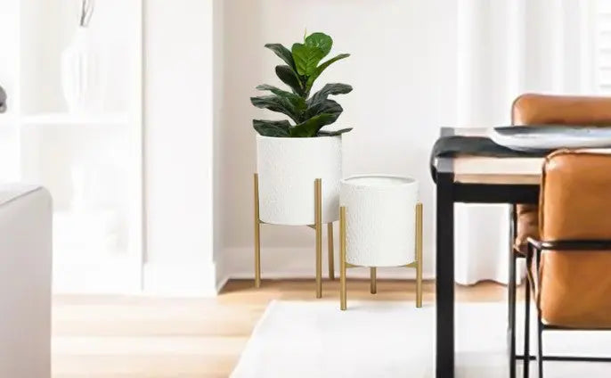 Cachepot Planters for modern living | LuxenHome